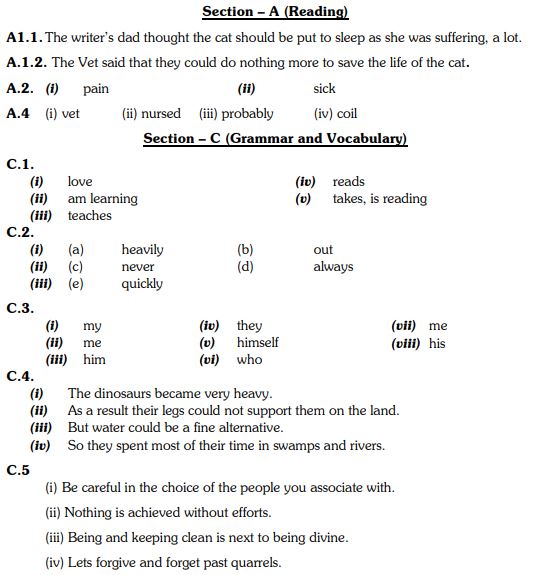 CBSE Class 6 English Sample Paper Set S CBSE Class 6 English Sample Paper Set S
