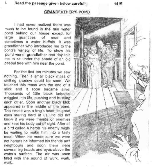 CBSE Class 5 English Sample Paper Set 1