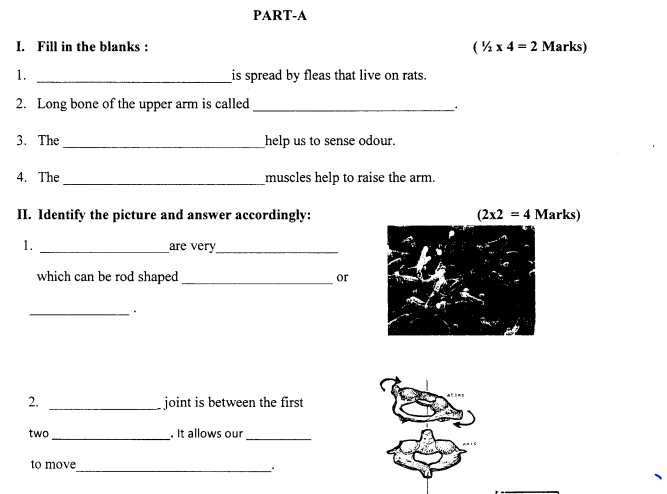 Cbse Class 5 Science Worksheets 4 Class 5 Science Worksheets With 