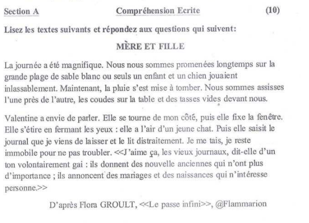 CBSE Class 10 French Sample Paper Set Q