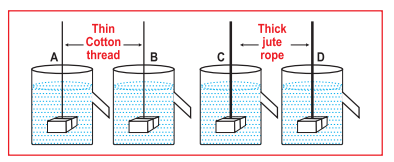 CBSE Class 10 Science Practical Skills Sample Paper Set A