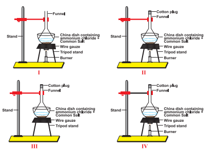 CBSE Class 10 Science Practical Skills Sample Paper Set 02