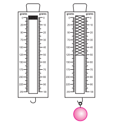 CBSE Class 10 Science Practical Skills Sample Paper Set B