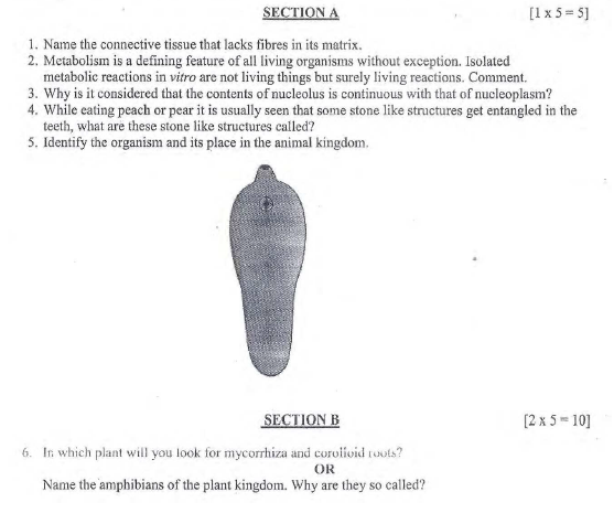 CBSE Class 11 Biology Sample Paper Set 4
