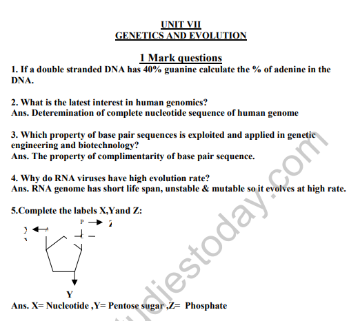 CBSE Class 12 Biology HOTs Genetics and Evolution